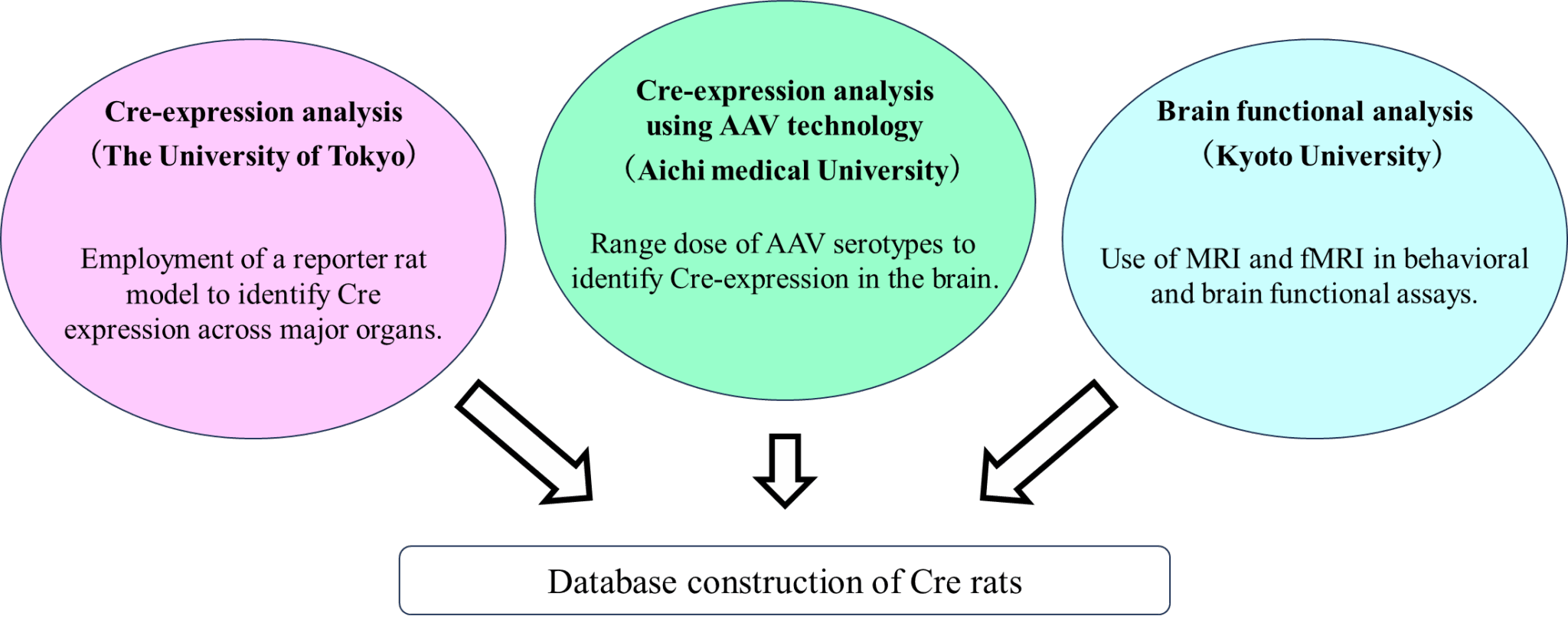 Cre-driver Rats - UTokyo NBRP-Rat